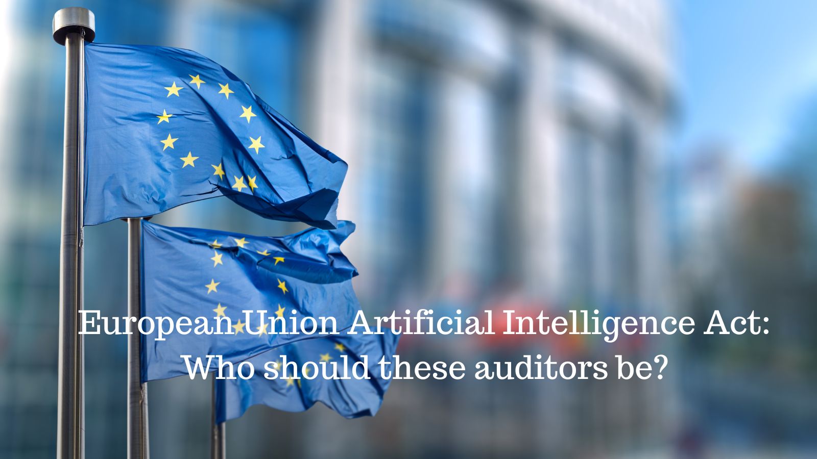 European Union Artificial Intelligence Act: An Auditor’s Perspective
