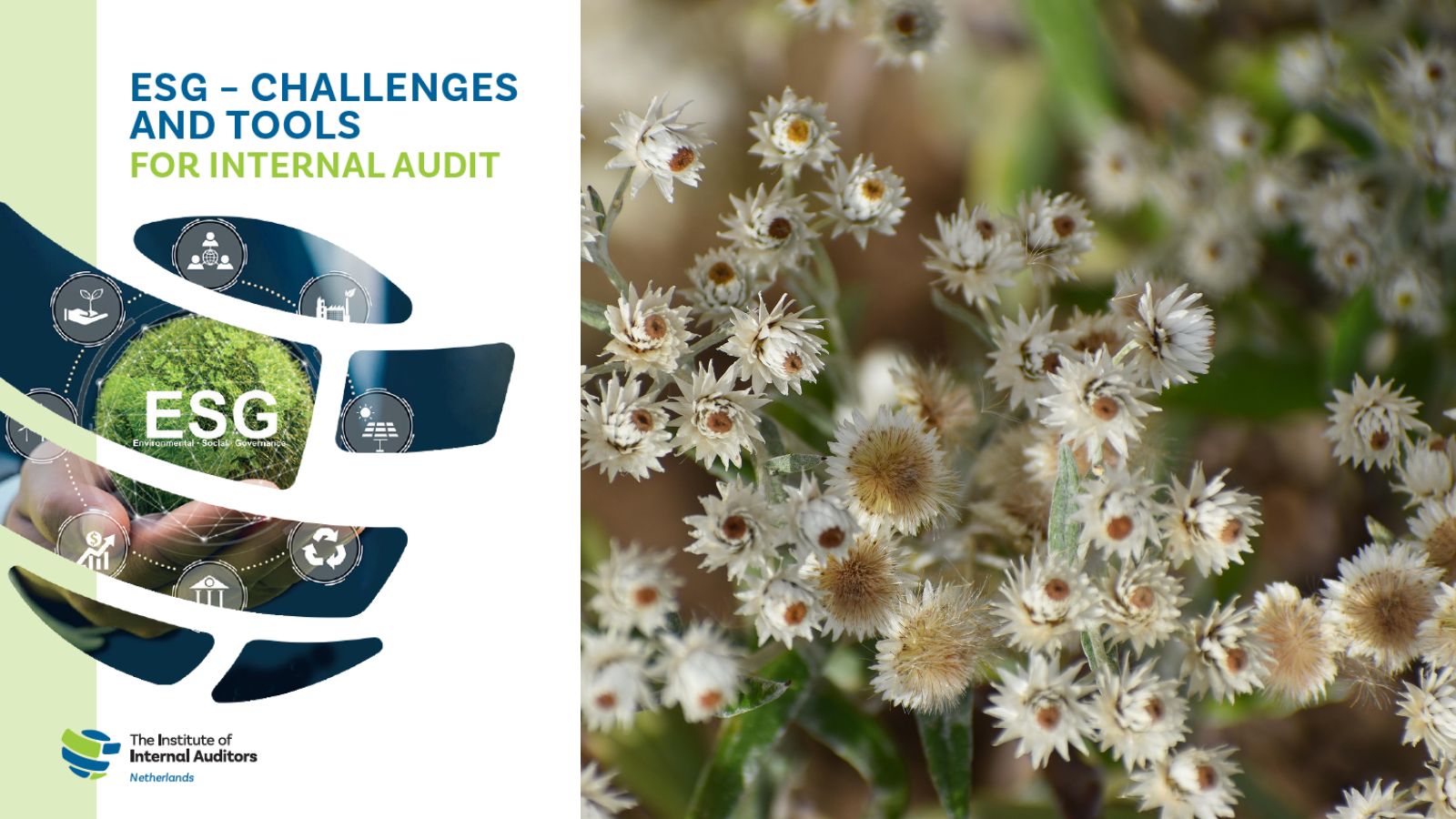 ESG - Challenges and tools for internal audit